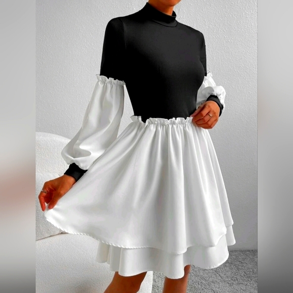 SHEIN | Dresses | Brand New Shein Two Tone Mock Neck Dress Large | Poshmark